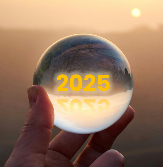 Change & Challenge with Steady Growth in 2025 - Australian Sign and ...